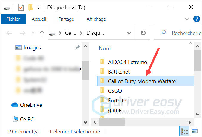 Warzone Erreur Fatale : Fonction Inconnue [RÉSOLU] - Driver Easy France